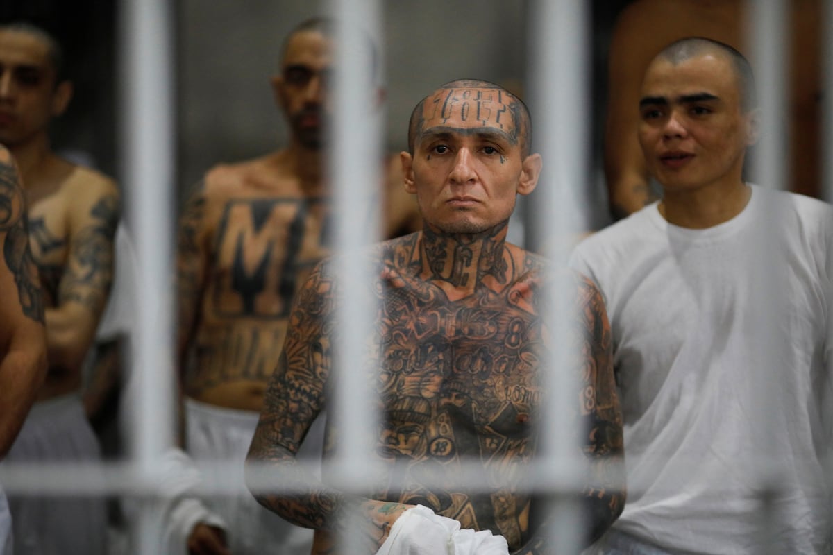 La vida dentro de la mega prisión de Nayib Bukele en El Salvador ...