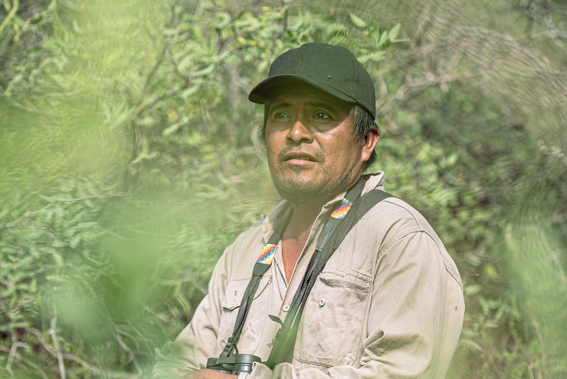 Derechos de la naturaleza: Enrique Viale: “Pensar que el mercado va a ...