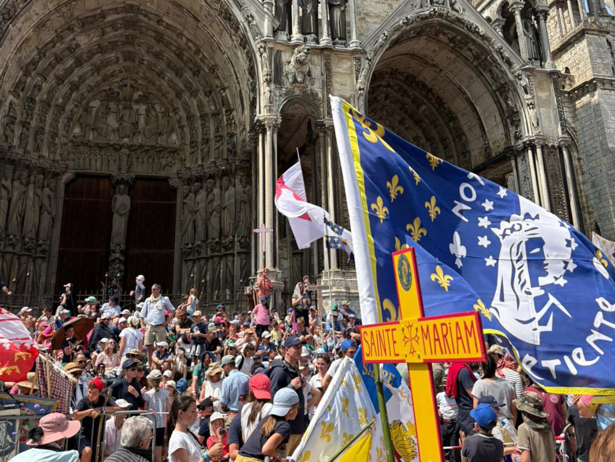 Vatican & French Pilgrimage: Latin Mass Concerns - News Directory 3