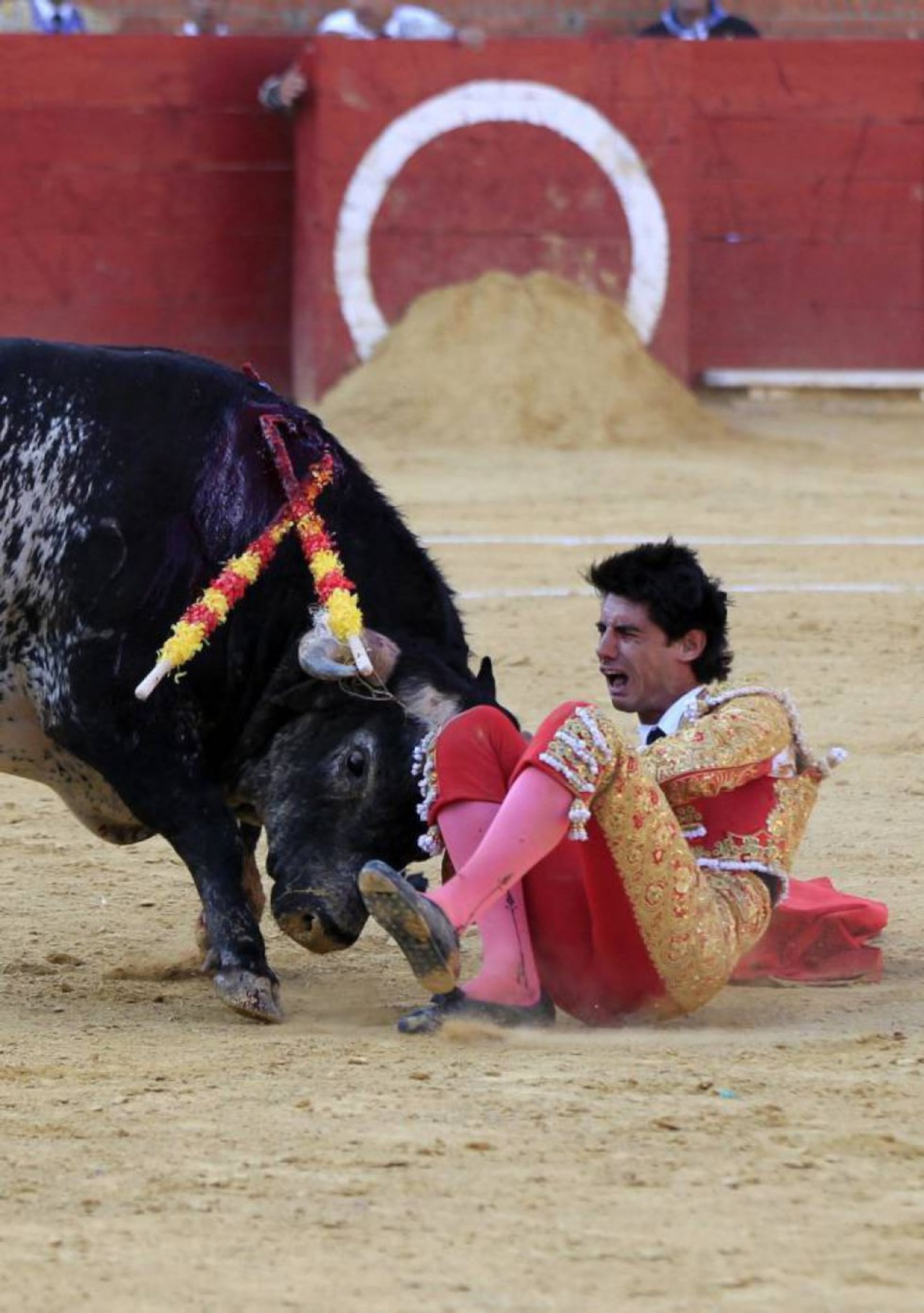 Bullfighting In pictures: The death of bullfighter Víctor Barrio: In ...