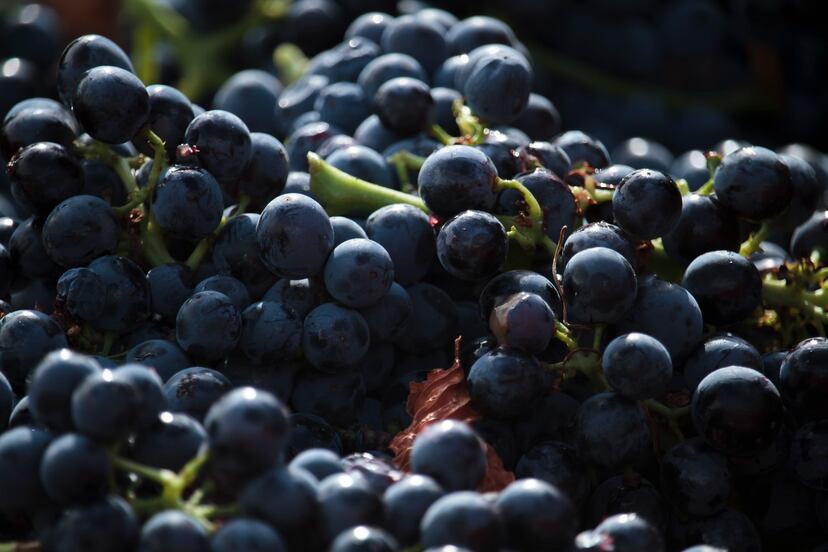 “El blanco sienta peor que el tinto”: 25 verdades y mentiras sobre el ...