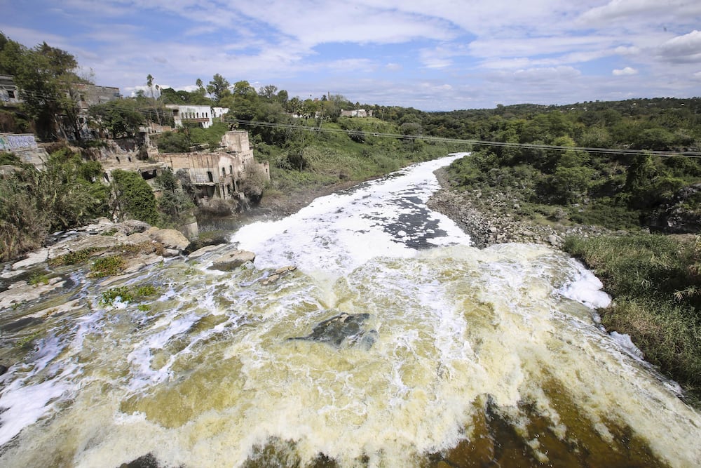 El agua que sale de la llave huele mal y está sucia: Guadalajara lleva ...