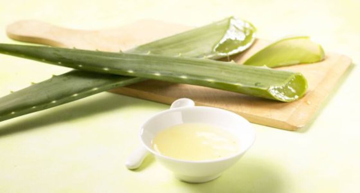 ALOE VERA: Cleopatra, los guerreros romanos o el 'Kama Sutra': todos ...