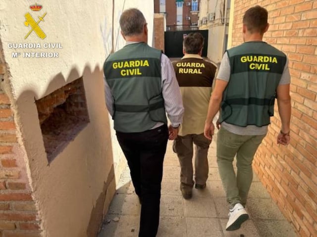Detenido el guarda de un coto de caza por abatir con un rifle a un ...