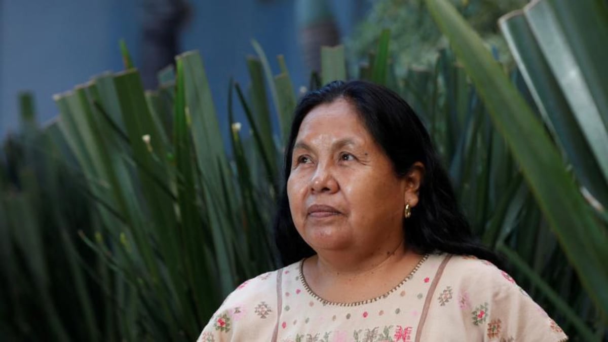 Marichuy: “Cuando andan en las campañas los políticos nos prometen ...