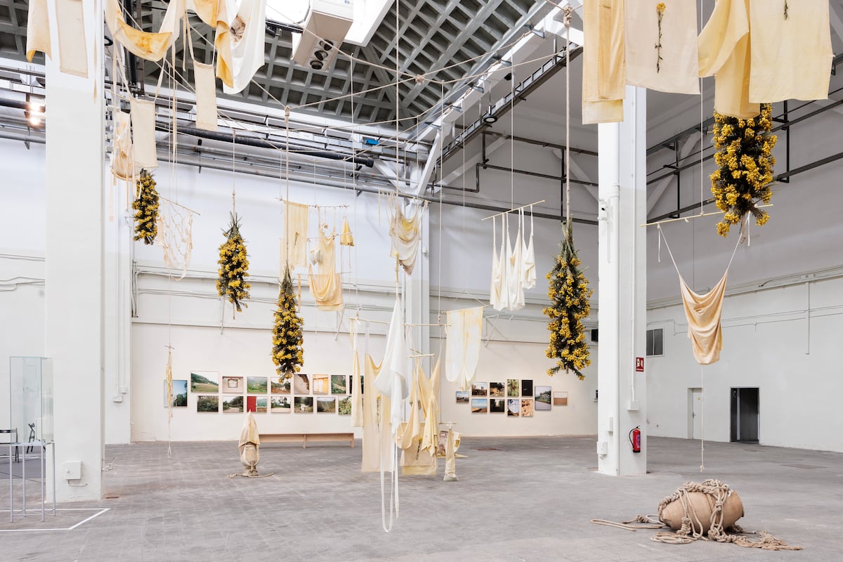 Borja-Villel materializa su andanada contra los museos tradicionales ...