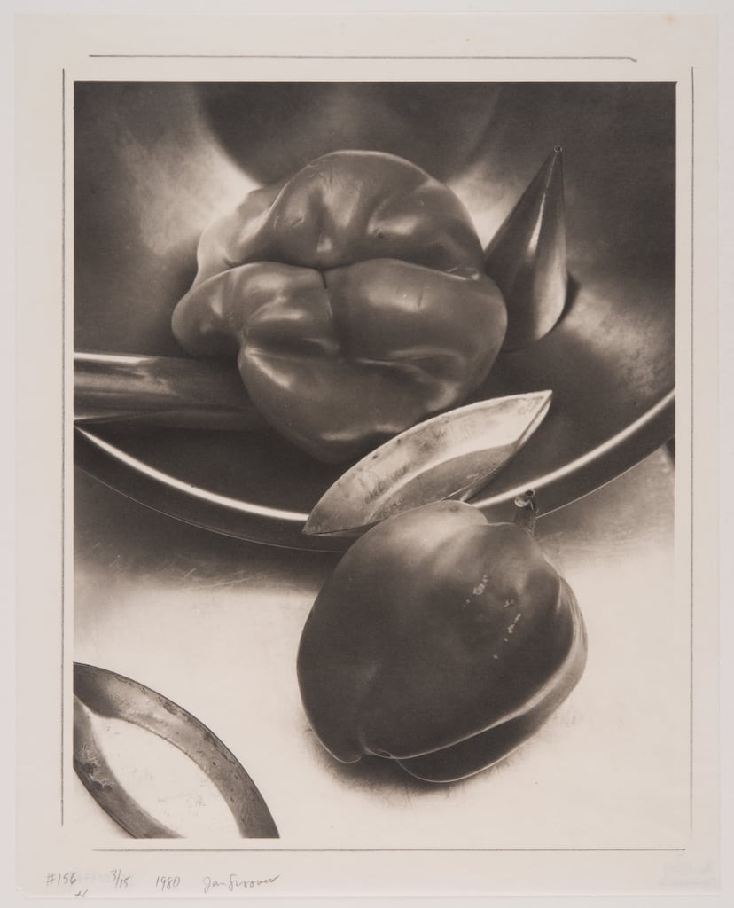 Jan Groover, the photographer who discovered the metaphysics of kitchen ...