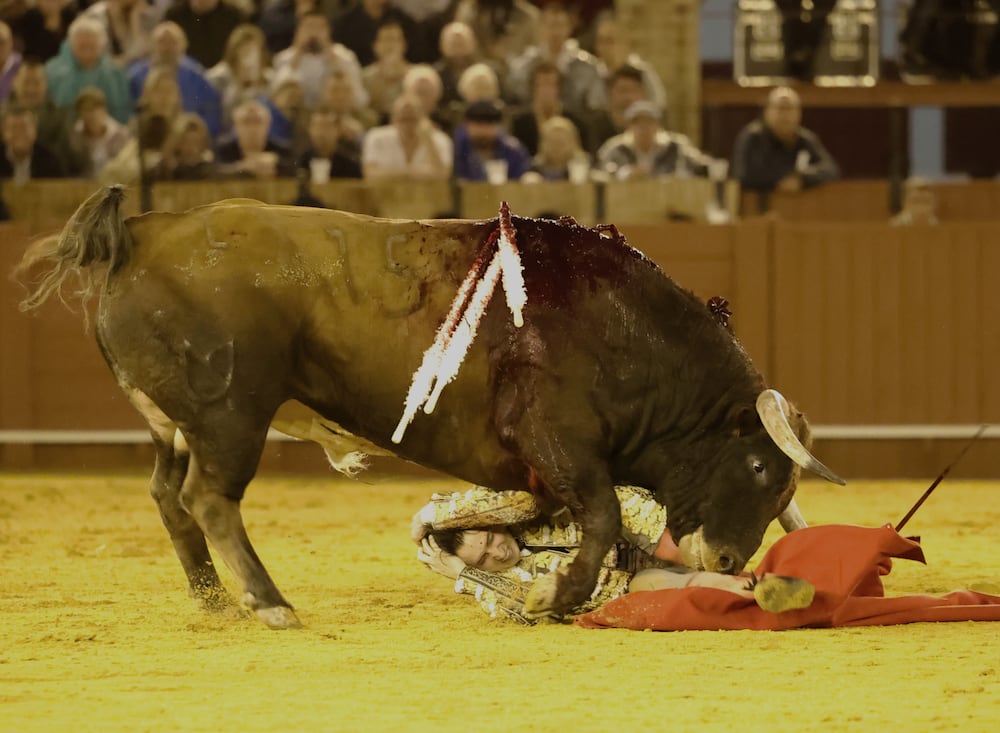 Toros: Roca Rey corta su temporada en España para recuperarse de sus ...