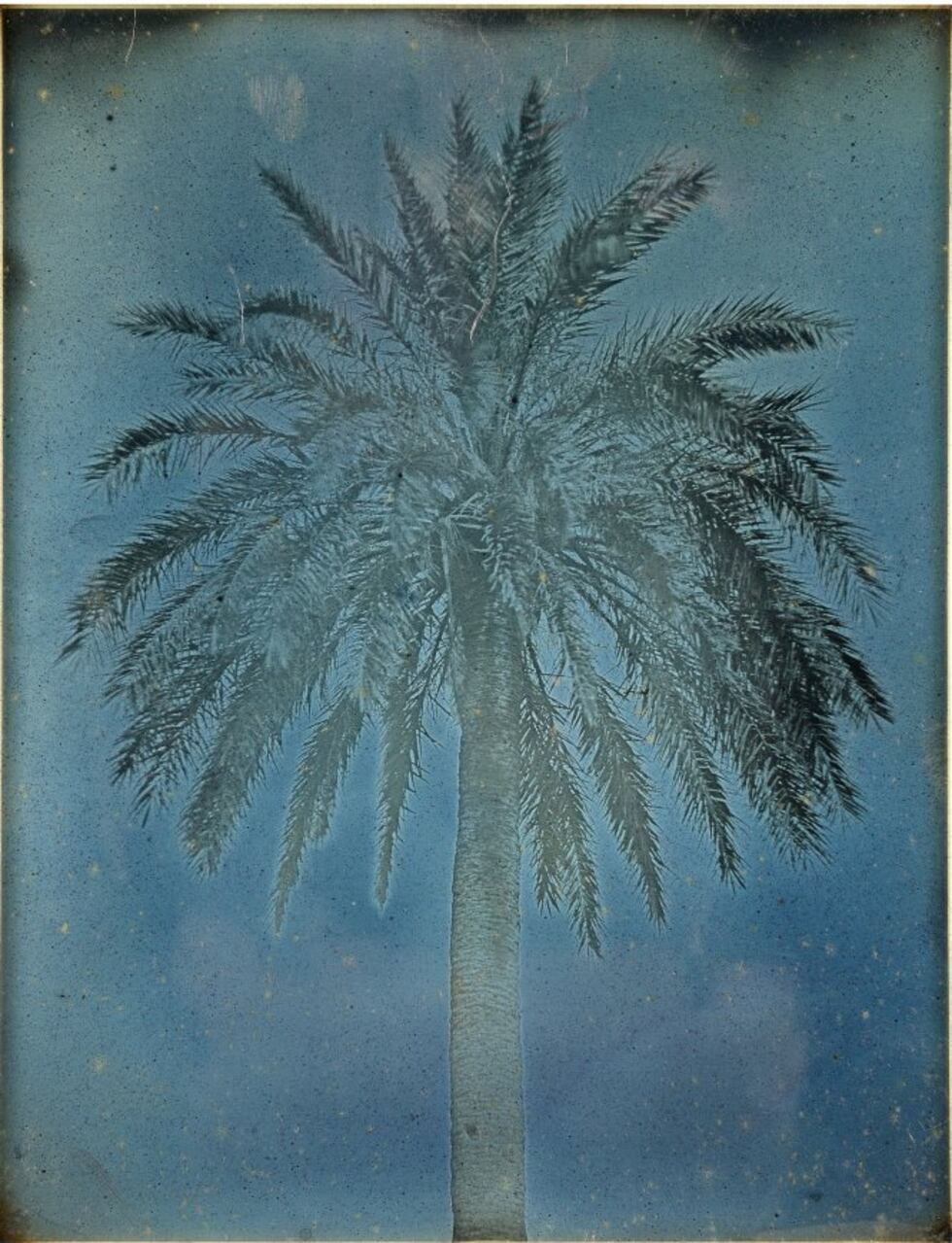 Los daguerrotipos de Girault de Pragney | Fotos | Cultura | EL PAÍS