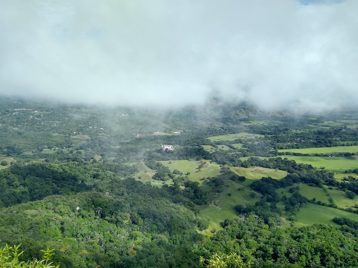 Mutis, biodiversidad y territorio | EL PAÍS América Colombia