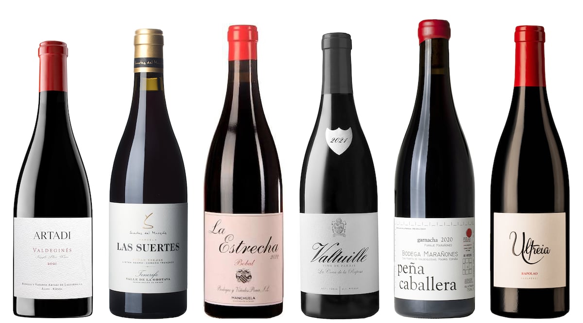 Seis vinos de parcela con la grandeza de lo pequeño | Beber ...