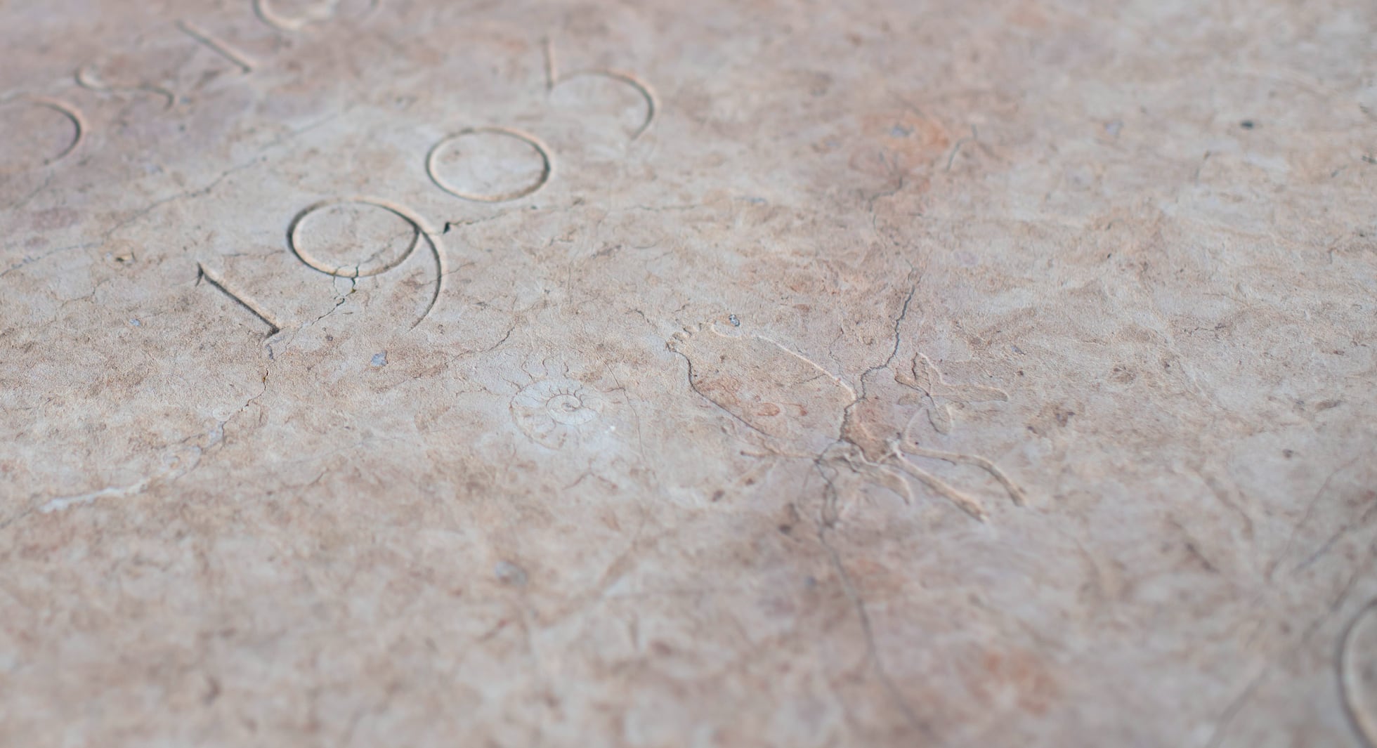 Hallada la tumba perdida de Mercedes Roca, un insólito poema de piedra ...