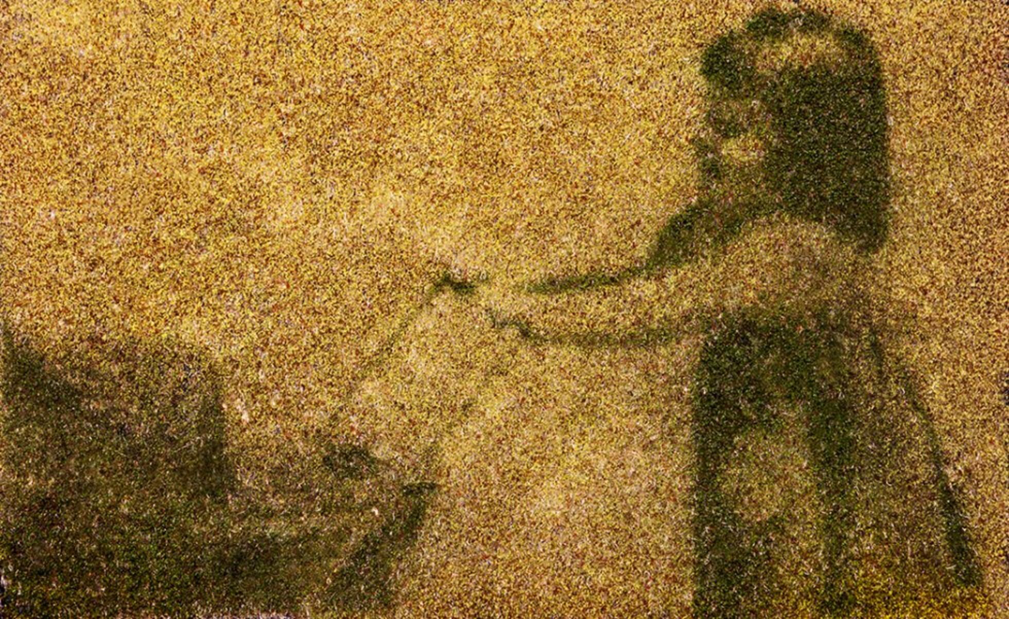 Almudena Romero, la fotógrafa que cultiva imágenes | Babelia | EL PAÍS