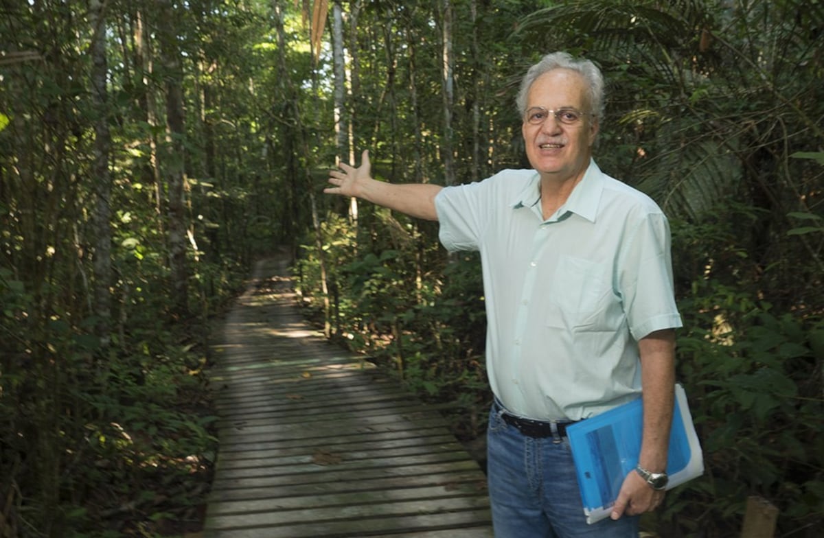 Carlos Nobre, Brazilian scientist: ‘The economic potential of the ...