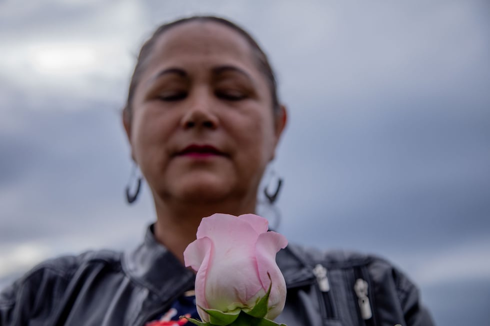 Las espinas de Tabacundo, la capital mundial de la rosa en Ecuador ...