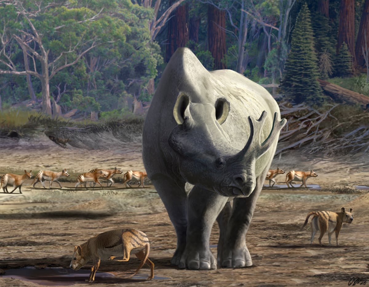 Evolution on a grand scale: how, 50 million years ago, the ‘thunder ...