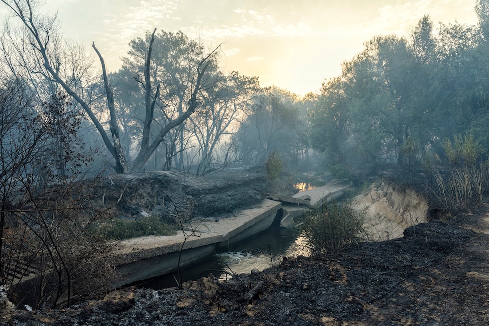 Spain battles dozens of wildfires amid heatwave | Spain | EL PAÍS English