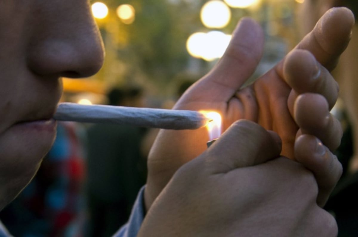 Legalização da maconha: Legalizar maconha medicinal não aumenta consumo ...