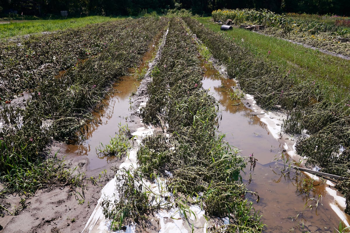 Climate change could bring more monster storms like Hurricane Lee to ...