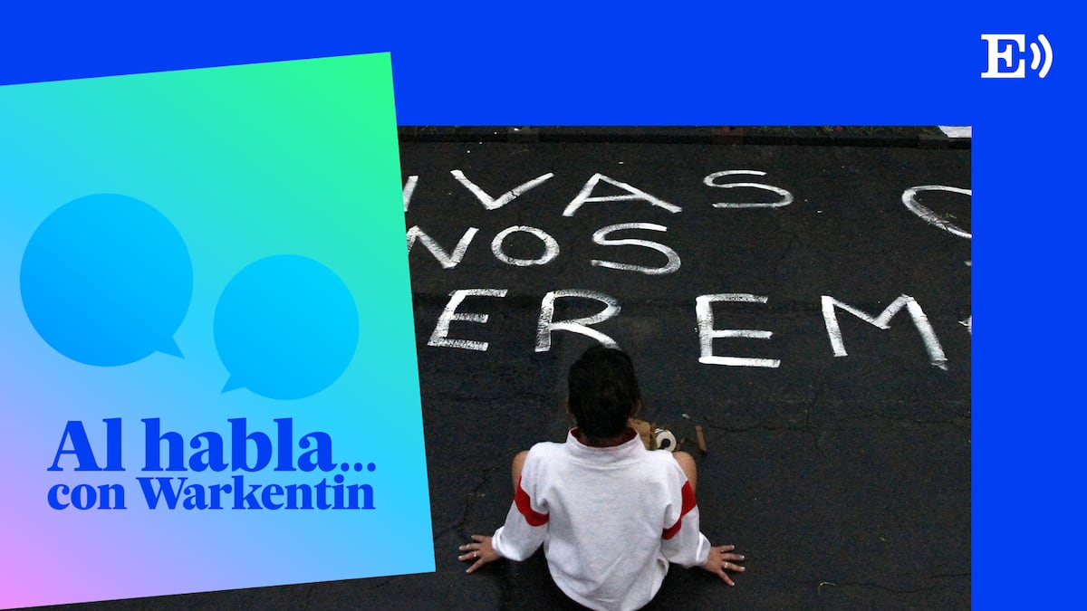 Lucha Castro y las primeras mujeres que pelearon contra los ...