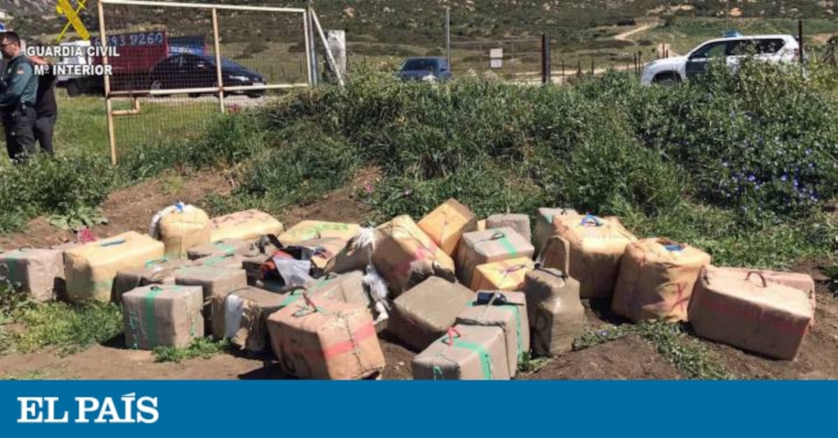 Spain's fight against drugs: Spain’s security forces “lack resources ...