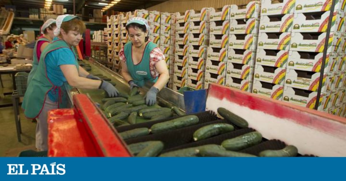 Equal pay in Spain: Spanish Cabinet cracks down on gender ...