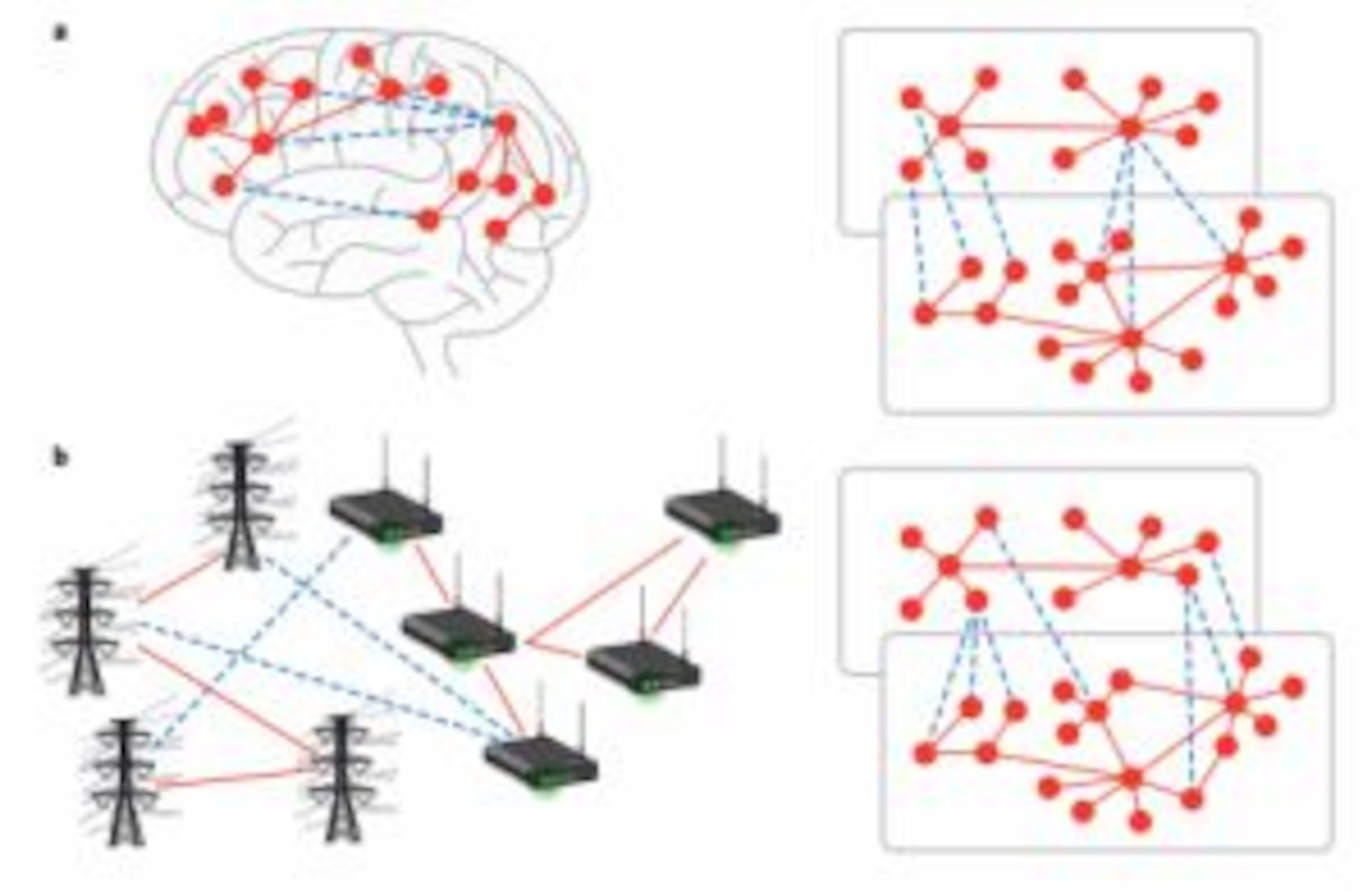 Tus neuronas mejorarán las redes que mueven el mundo | Ciencia | EL PAÍS