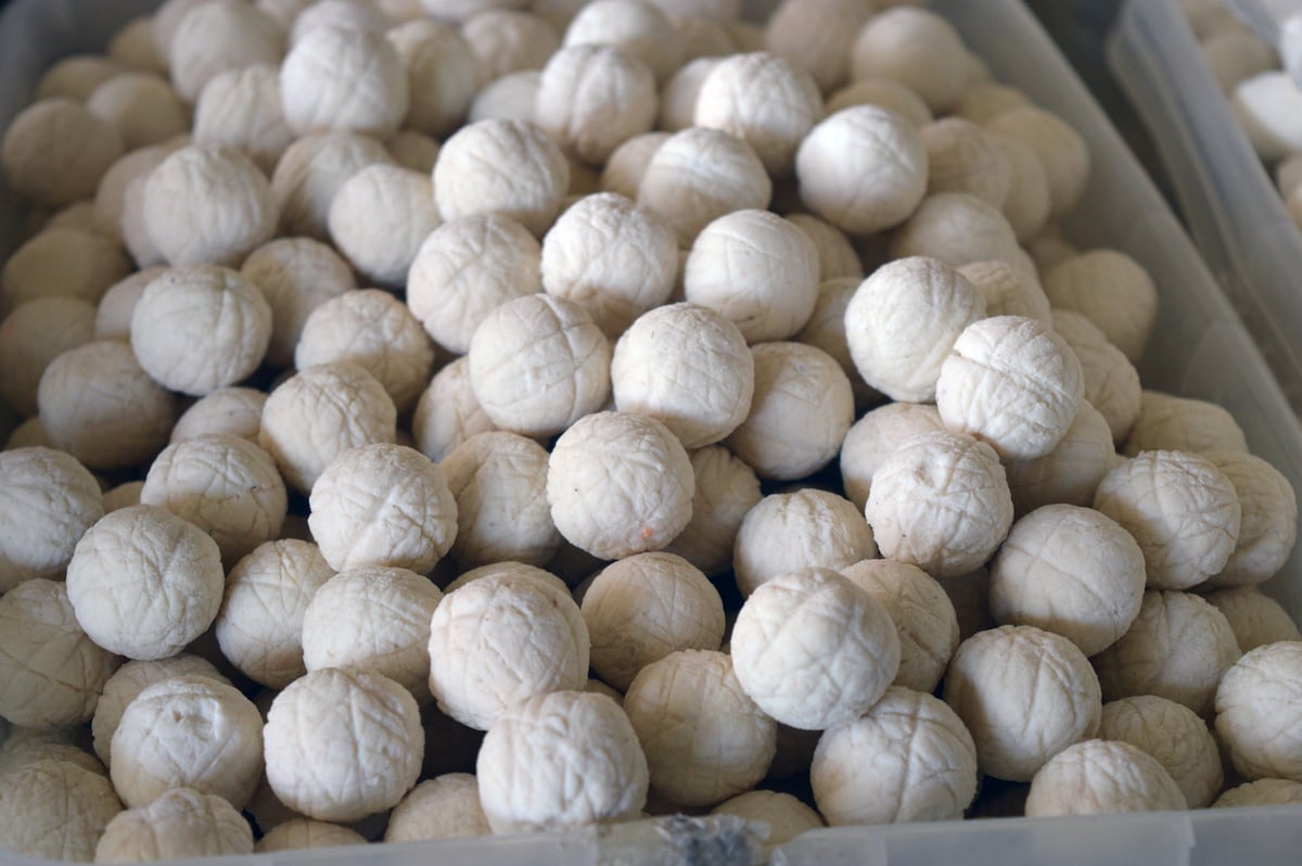 ‘Qurut’, the dried yogurt balls rich in calcium and protein that have ...