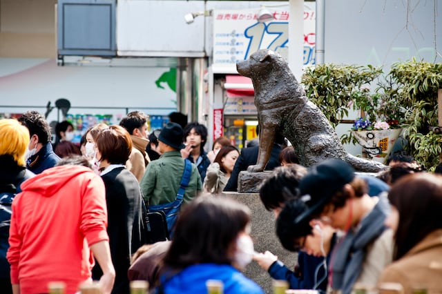 Hachiko, the Japanese dog who died waiting 10 years for his owner ...
