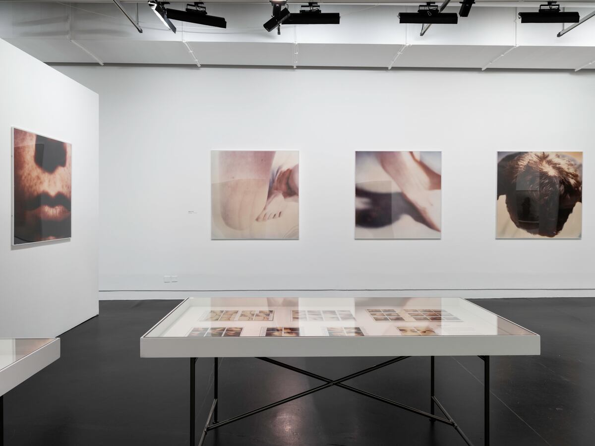 Hannah Villiger, fragmentos de un cuerpo universal | Fotos | Babelia ...