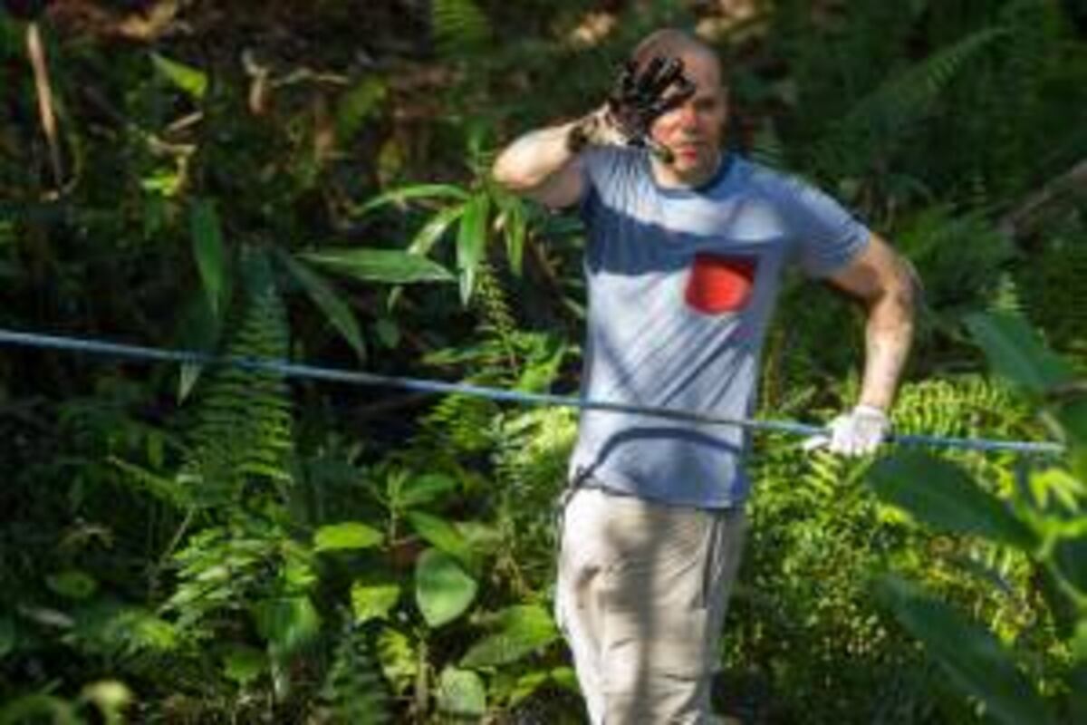 En el corazón de la Amazonía Calle 13 lanza un llamado para defender la ...