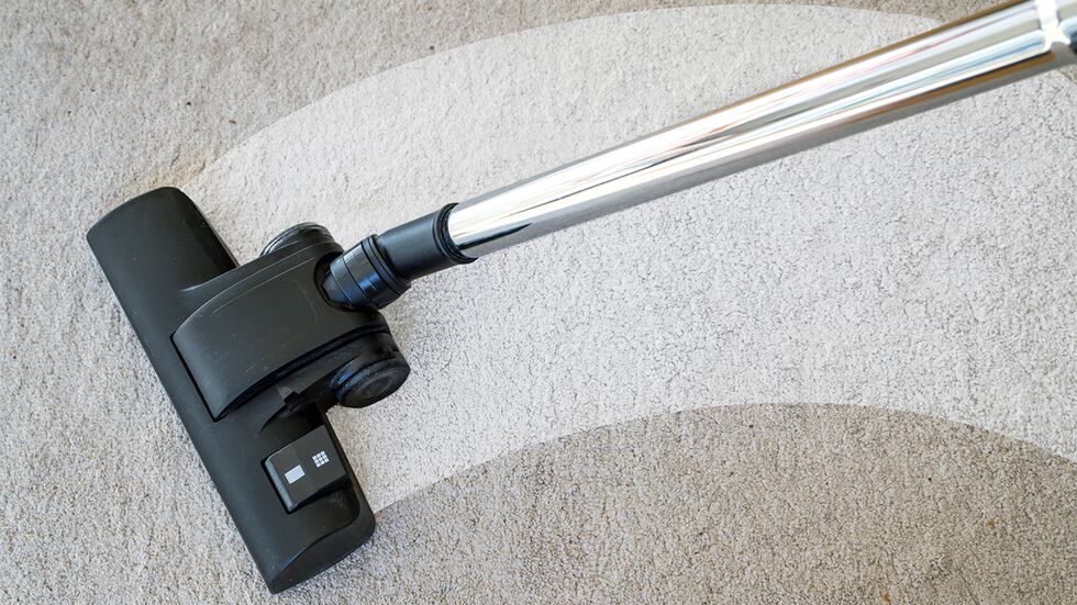 ¿Cómo deshacerse de los ácaros en casa? | Estilo de vida | Escaparate ...