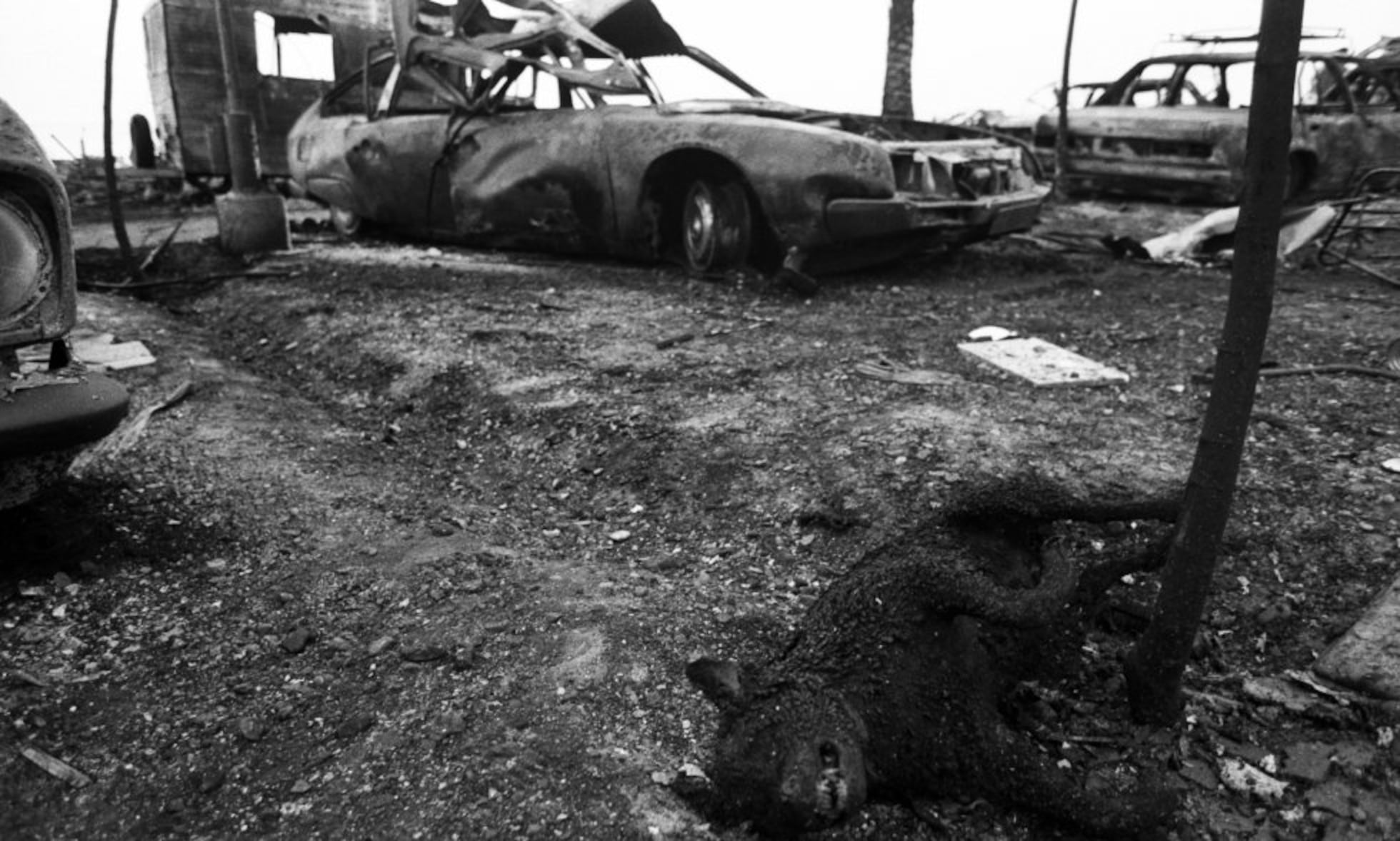40 años de la tragedia del camping de Los Alfaques | Fotos | Política ...