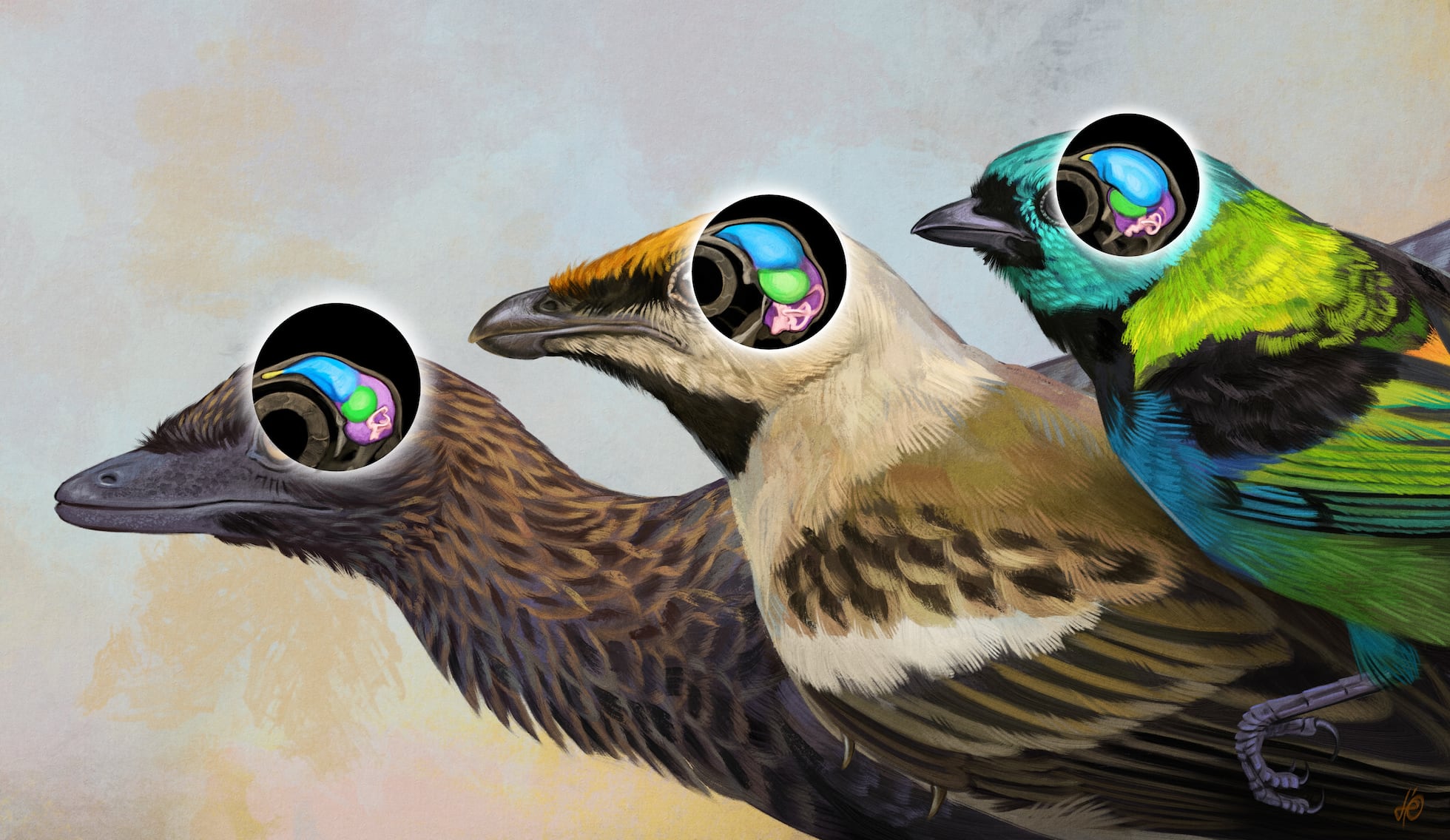 An intact 80-million-year-old fossil is the ‘Rosetta Stone’ that ...