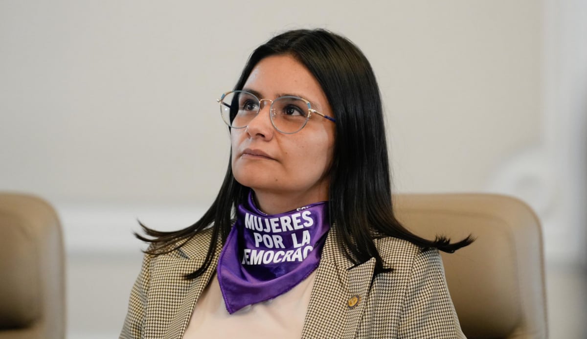 Angie Rodríguez renuncia a la dirección de la Presidencia | EL PAÍS ...