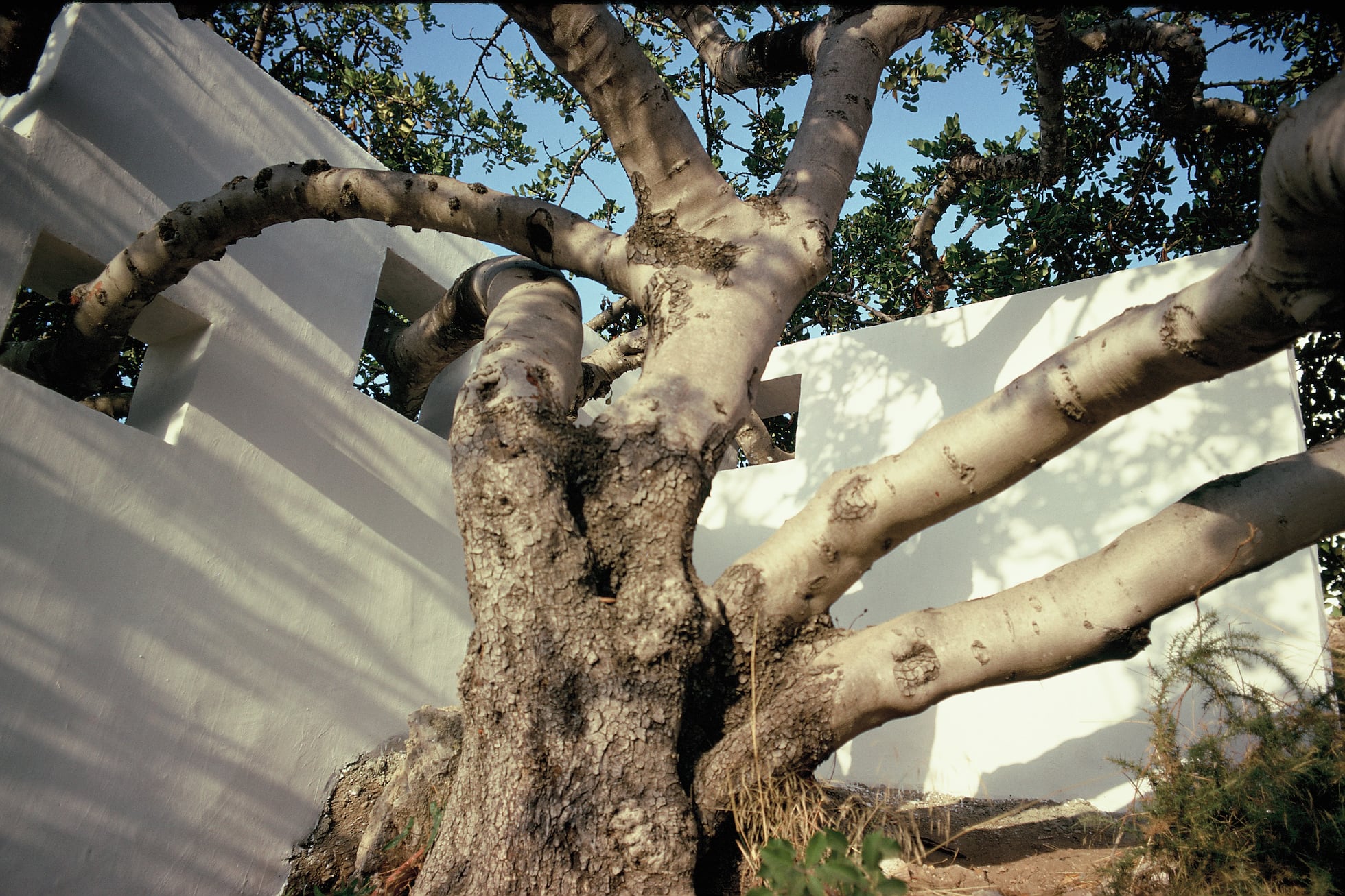 La Casa Rudofsky, un tesoro arquitectónico camuflado en el paisaje de ...