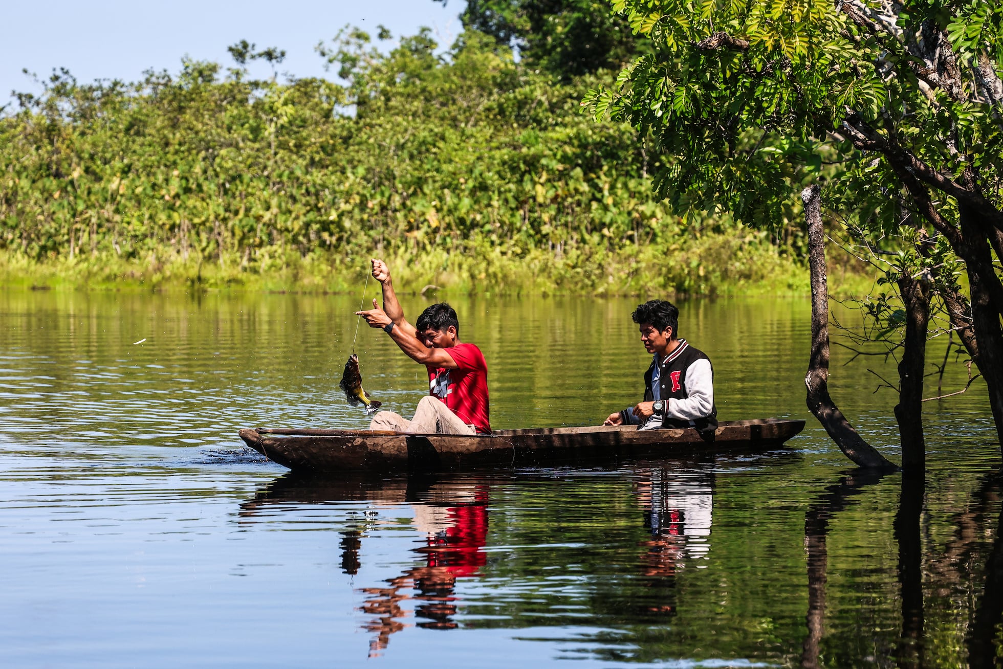 El secreto de los Candoshi para pescar y conservar la Amazonia ...