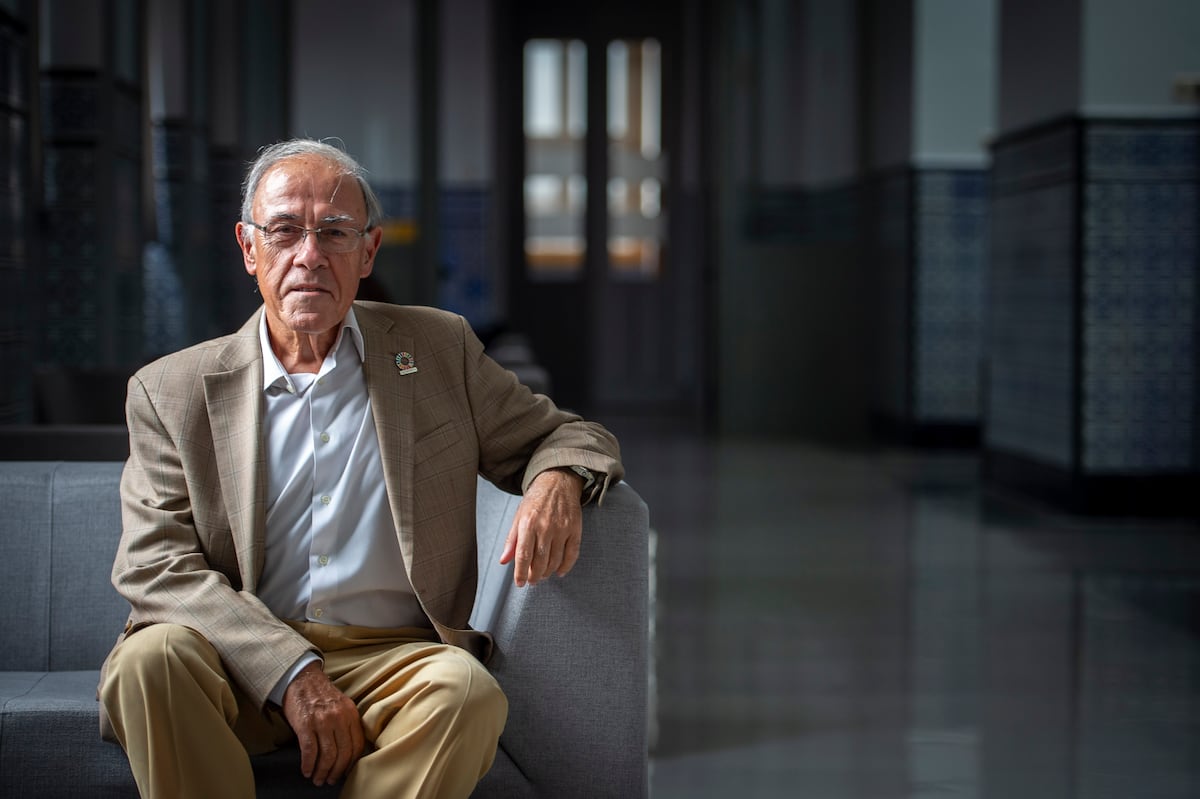 Ignacio Pérez Arriaga: “El acceso a la electricidad es un imperativo ...