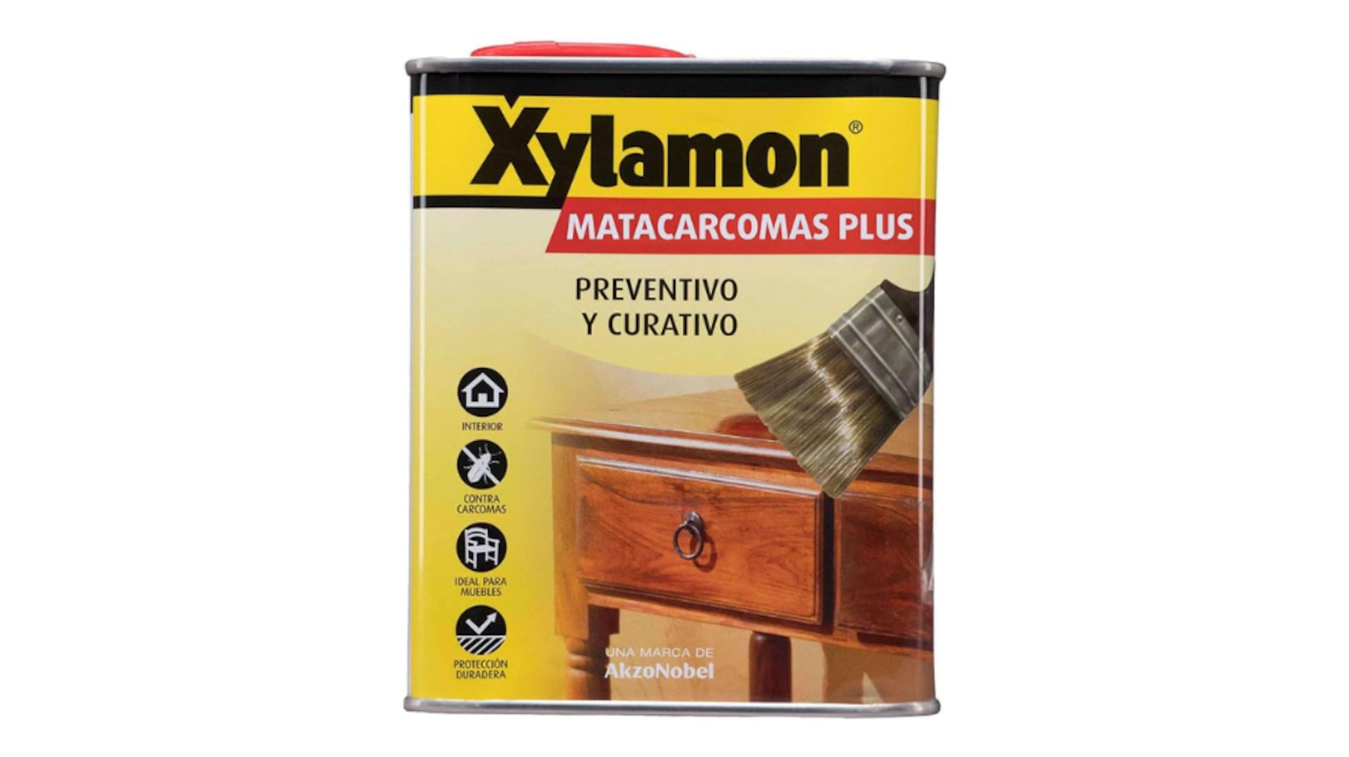 Cómo eliminar la carcoma y siete productos para ello | Estilo de vida | Escaparate | EL PAÍS