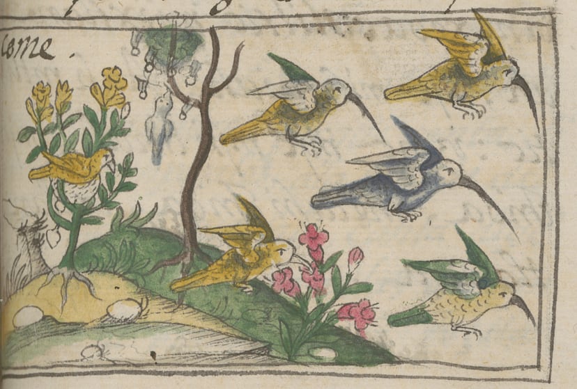 Researchers unveil the mysteries of the Florentine Codex | Culture | EL ...