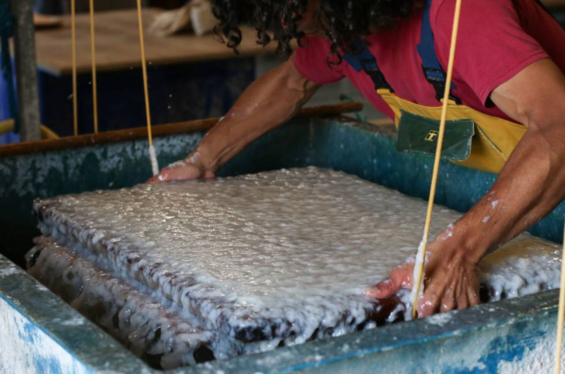 Sheedo, papel semilla que se usa y se planta | Empresas | Cinco Días