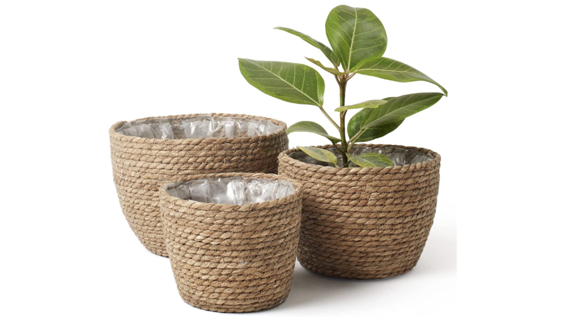 Cinco cubremacetas de mimbre ideales para decorar tus plantas y el ...