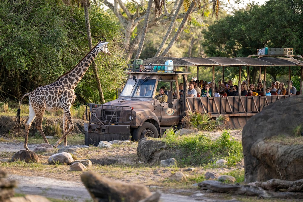 When Disney’s largest park is the world’s most-visited zoo: Animal ...