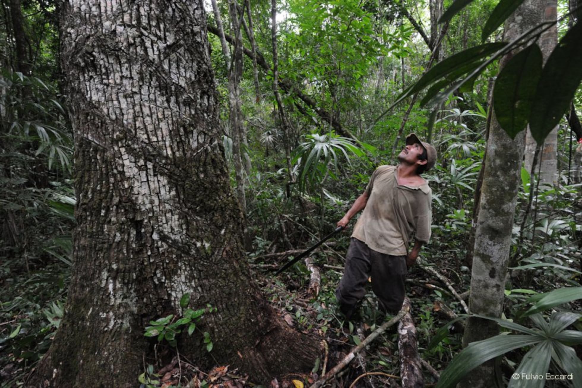 Chicleros, guardianes de la selva maya | Fotos | Planeta Futuro | EL PAÍS