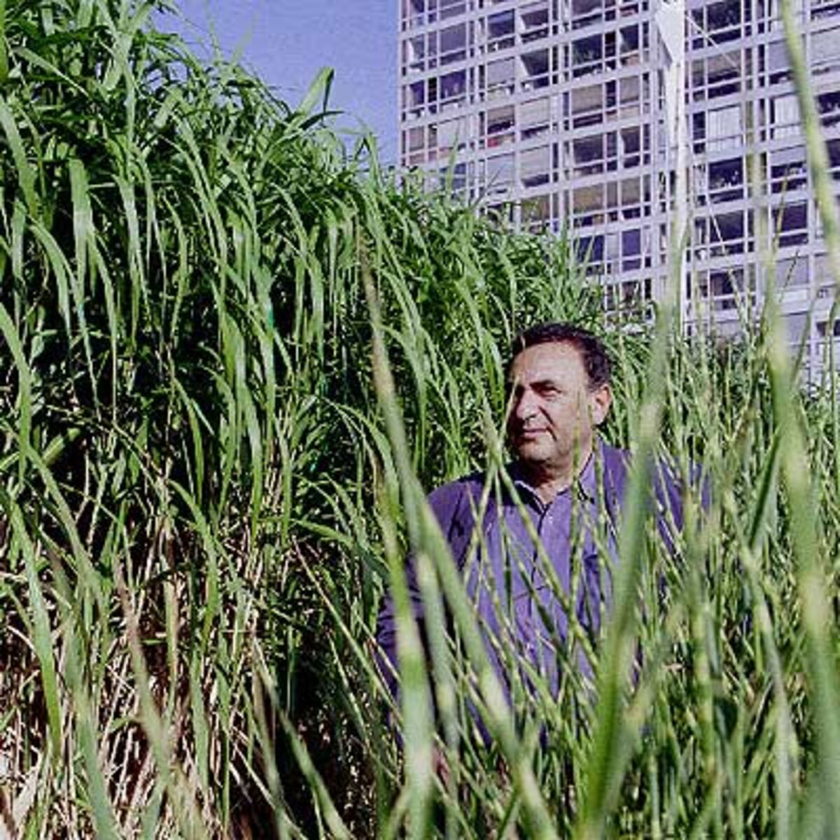 Juan José Saer espera a su Coetzee | Cultura | EL PAÍS