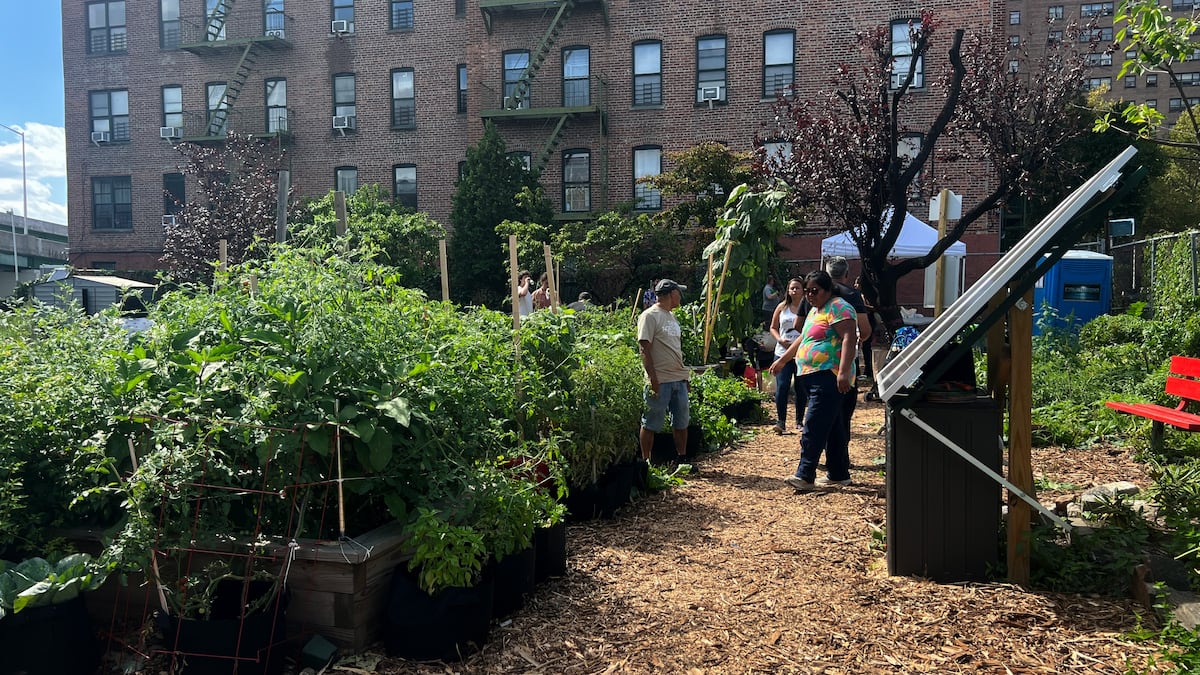 Un santuario autosostenible para los inmigrantes en el Bronx: el ...