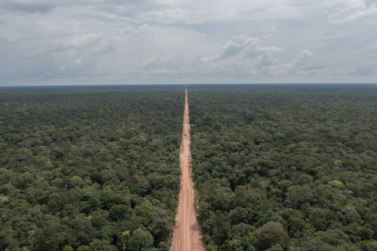 Viaje por la BR-319: carretera hacia la destrucción de la Amazonia ...