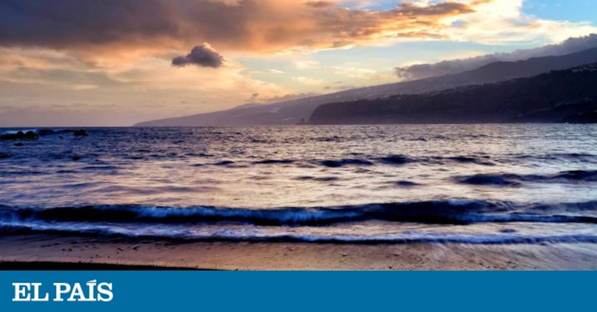 Todo el mar en la playa de Martiánez | El Viajero | EL PAÍS