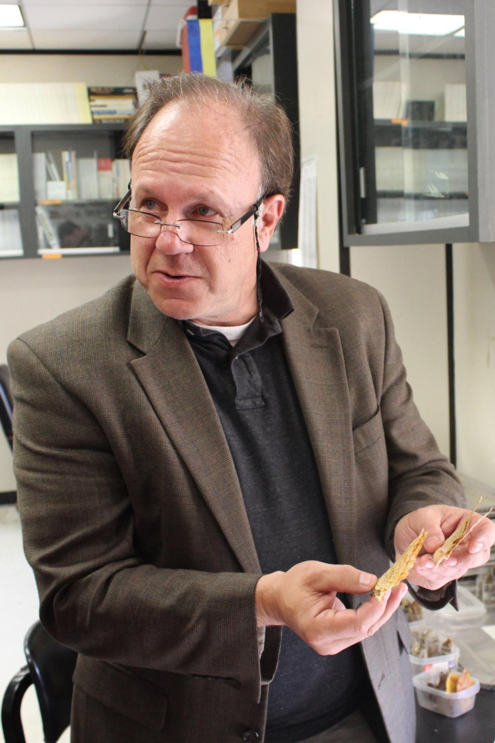 Hay vida en Chernóbil | Fotos | Ciencia | EL PAÍS