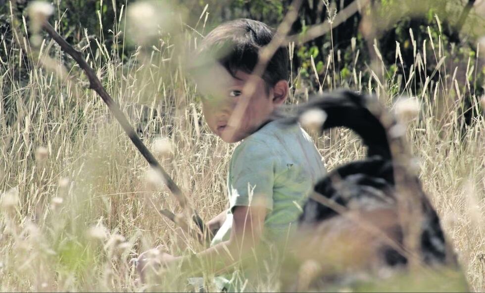 ‘Sujo’, de las mexicanas Astrid Rondero y Fernanda Valadez, gana el ...